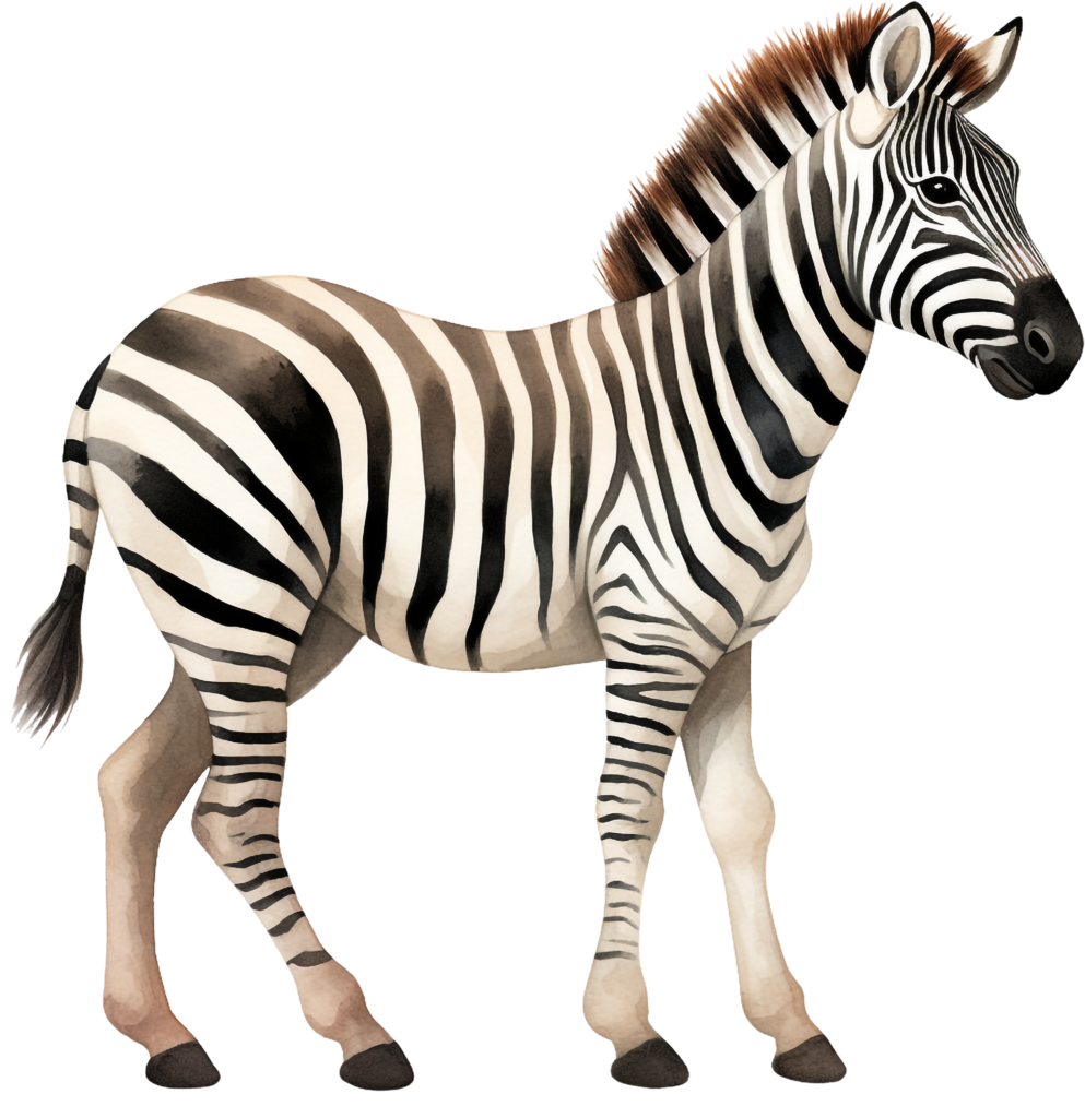 🦓 Zebra – The Striped Wonder! 🎨🌾 - BiologyBiology